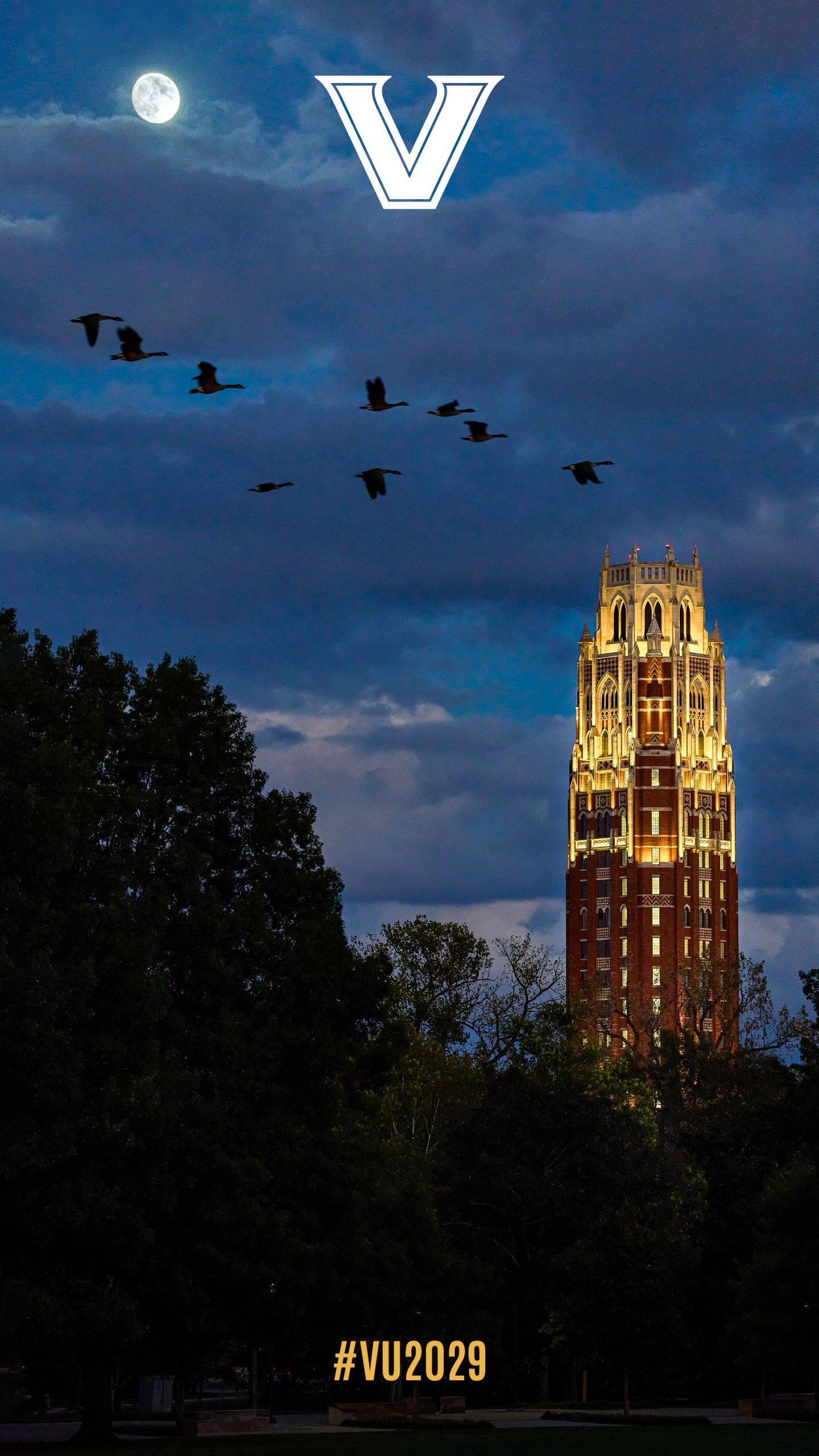 #VU2029 Digital Swag | Undergraduate Admissions | Vanderbilt University