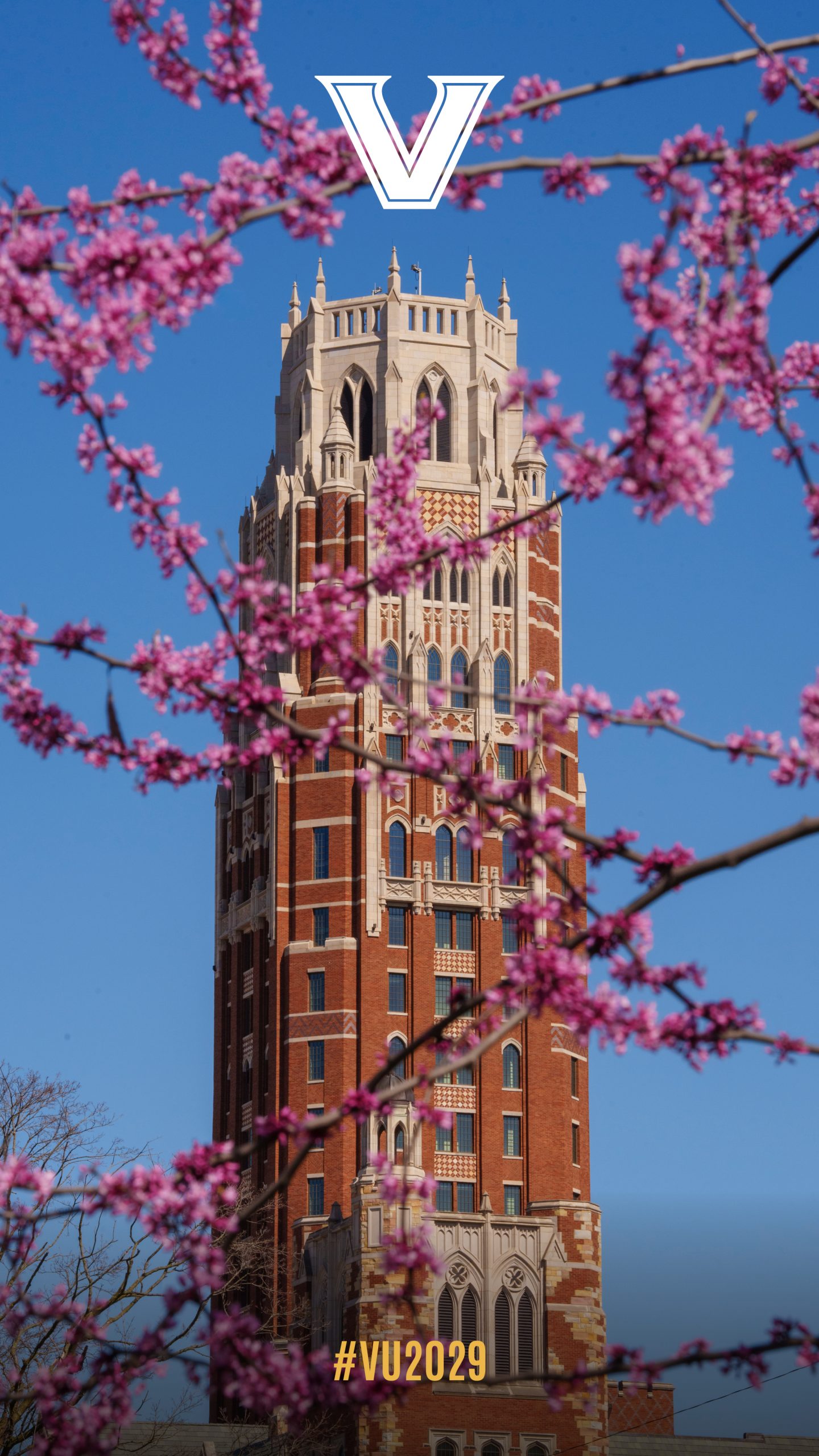 #VU2029 Digital Swag | Undergraduate Admissions | Vanderbilt University